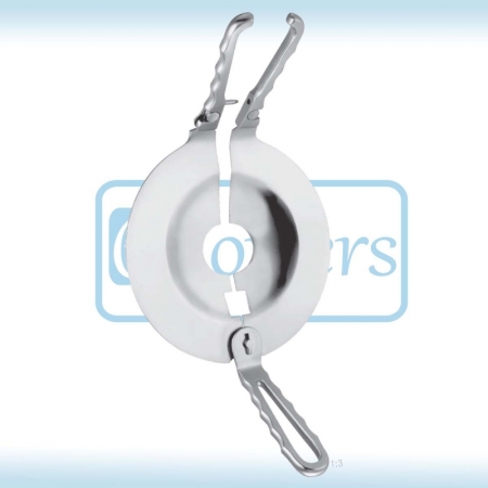 Six Flowers Corporation