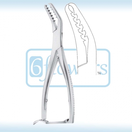 Six Flowers Corporation