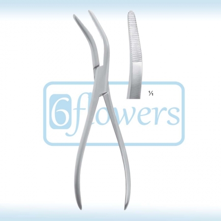 Six Flowers Corporation